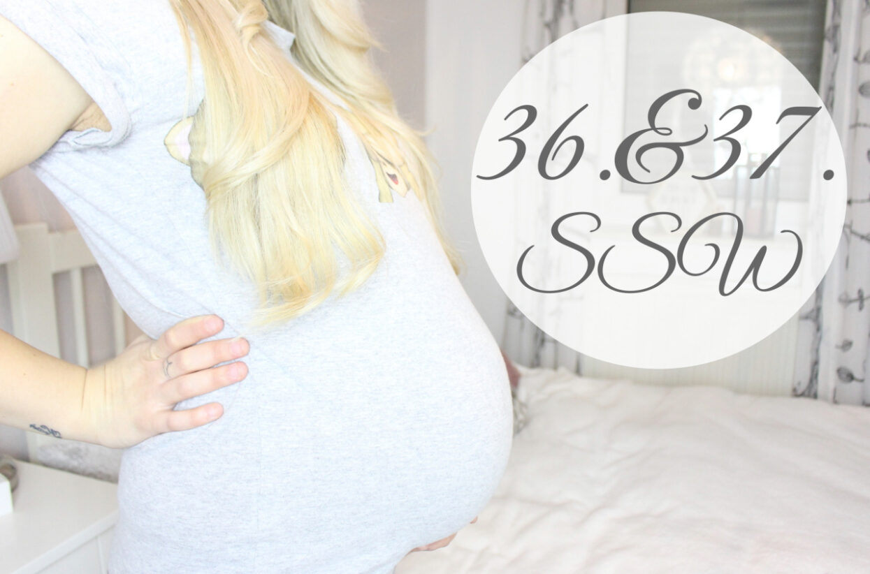 37. SSW - Alle wichtigen Informationen auf einen Blick