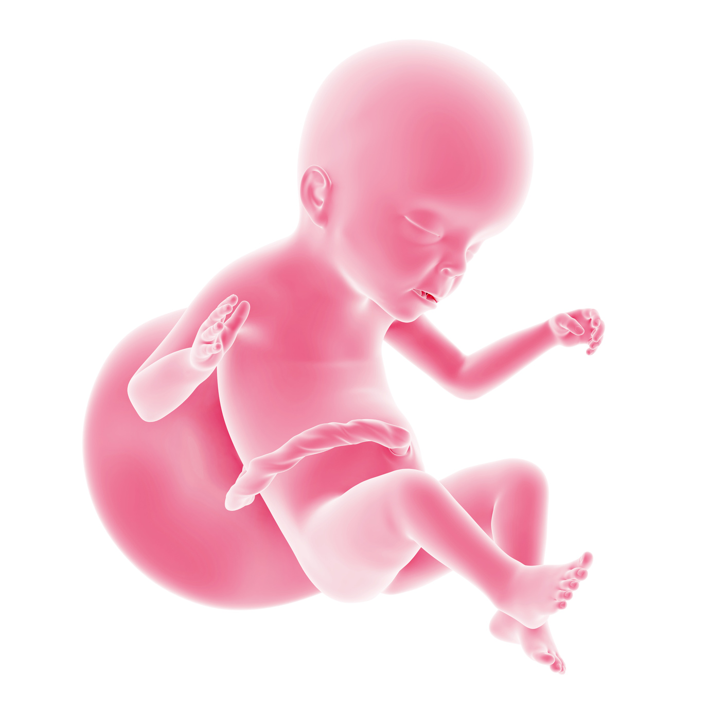 23. SSW - Dein Baby kann jetzt schon Stimmen unterscheiden