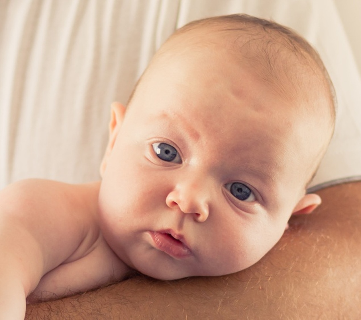 Die Fontanelle beim Baby: Was alle Eltern wissen sollten | Babyartikel ...